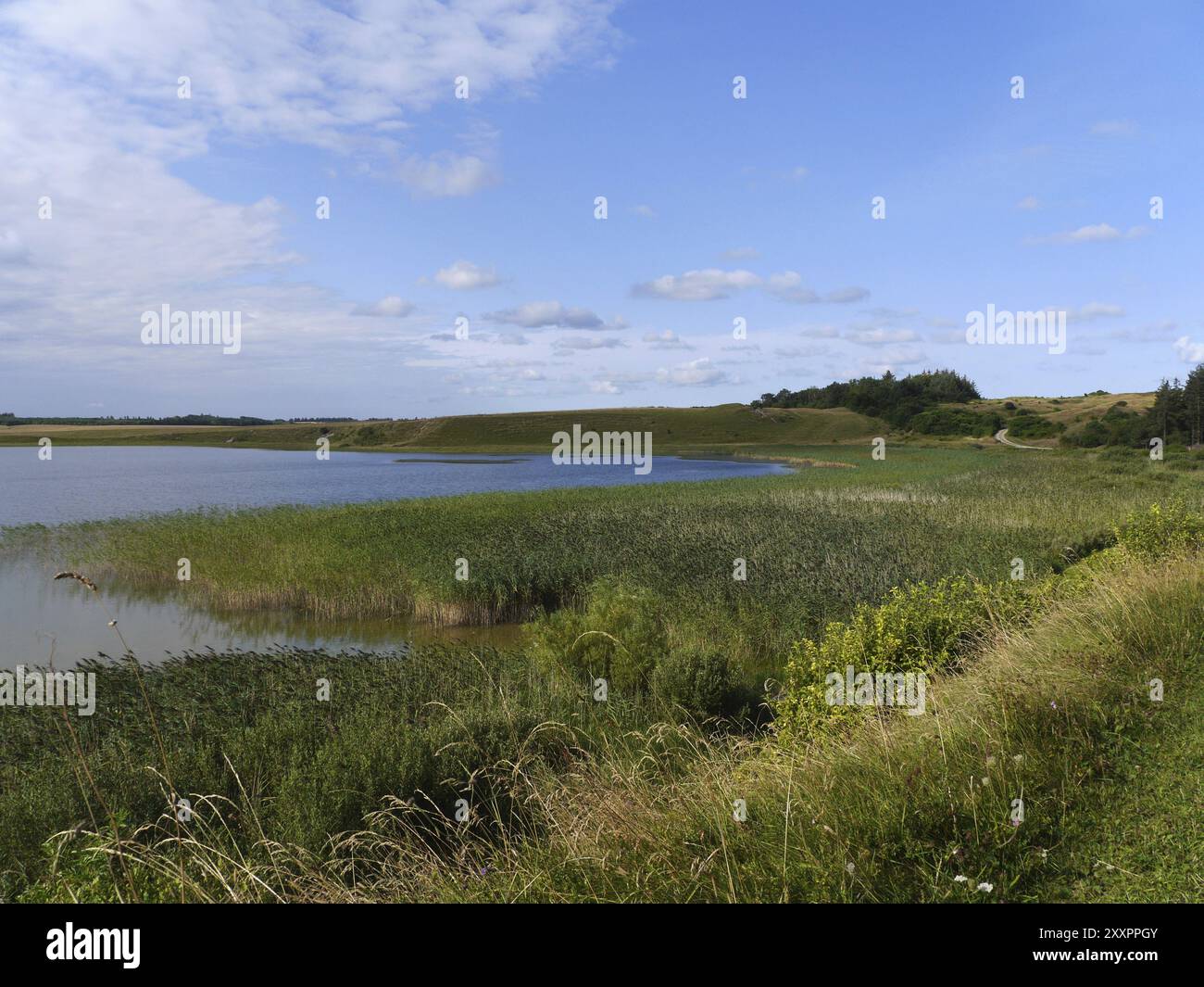 Landscape in Denmark Stock Photo - Alamy