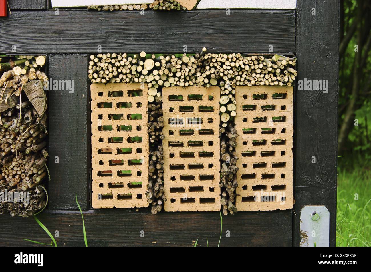 Insect hotel, insect hotel 06 Stock Photo - Alamy