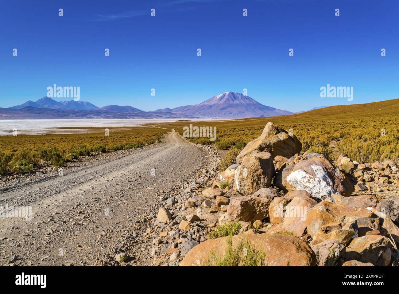 Salt and local people bolivia hi-res stock photography and images - Alamy