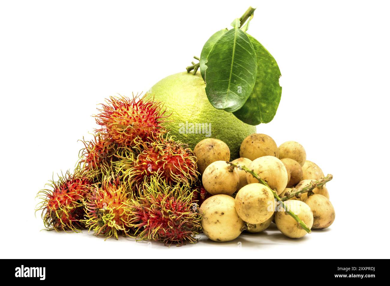 Fresh tropical sweet fruits, rambutans, longkongs and pomeo on white ...