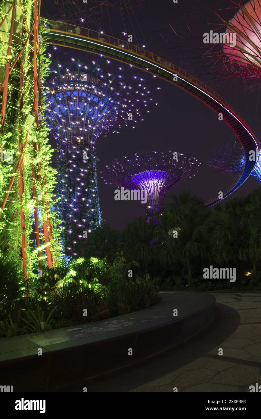 Tree supertrees hi-res stock photography and images - Alamy