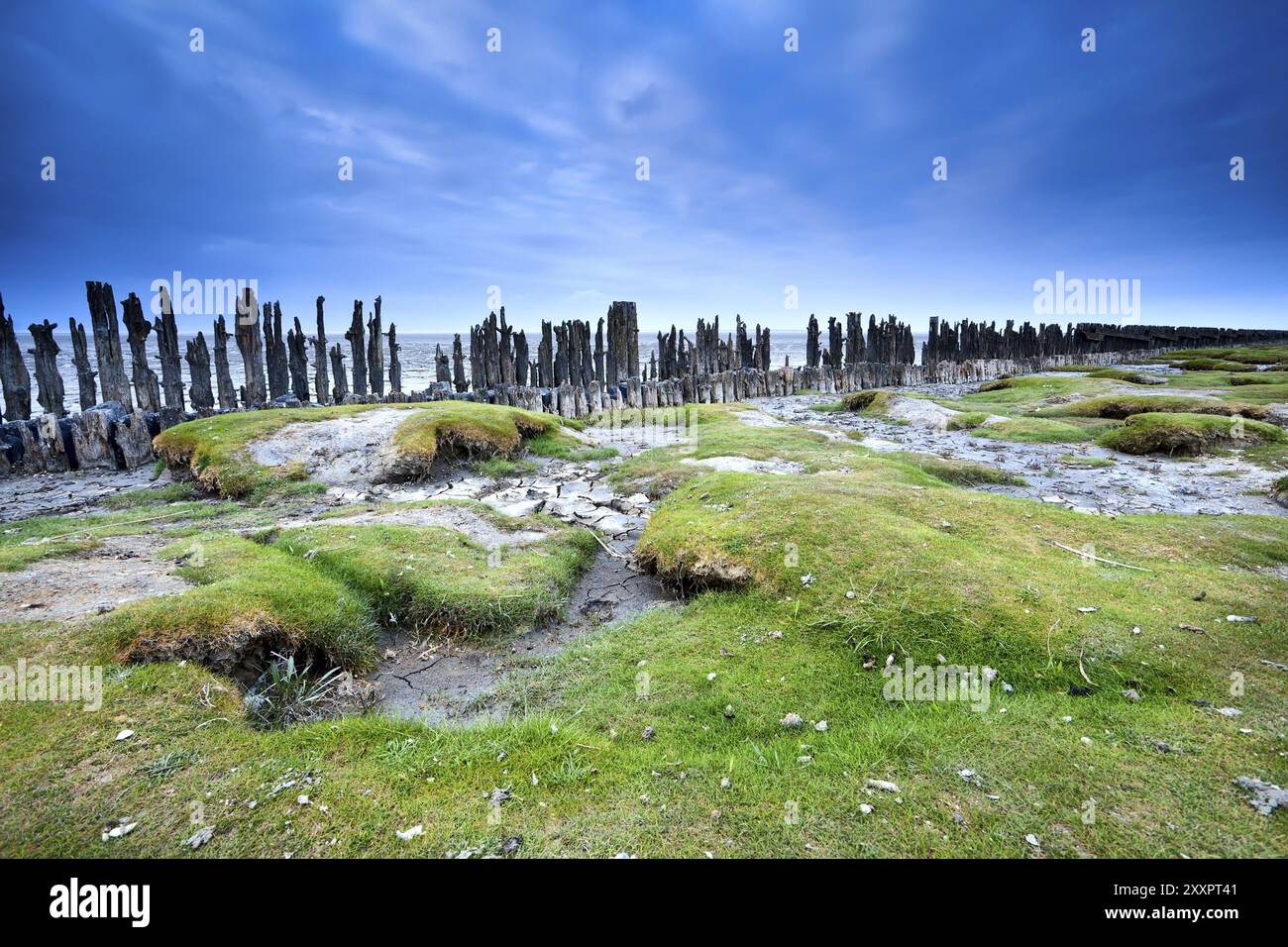 Sea shore at low tide of North sea, Friesland, Netherlands Stock Photo ...