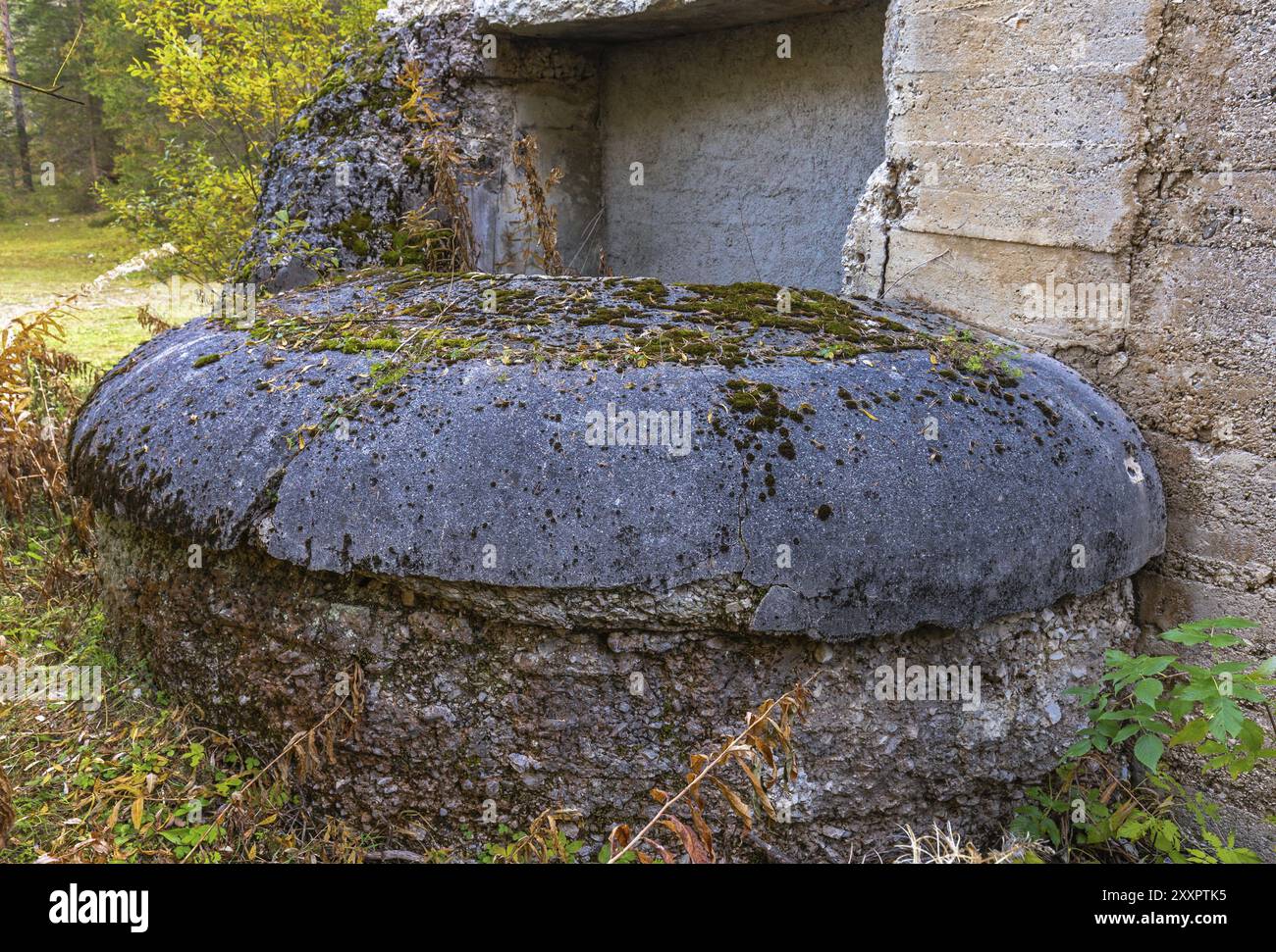 Ruins of Landro Fortress, South Tyrol Stock Photo - Alamy