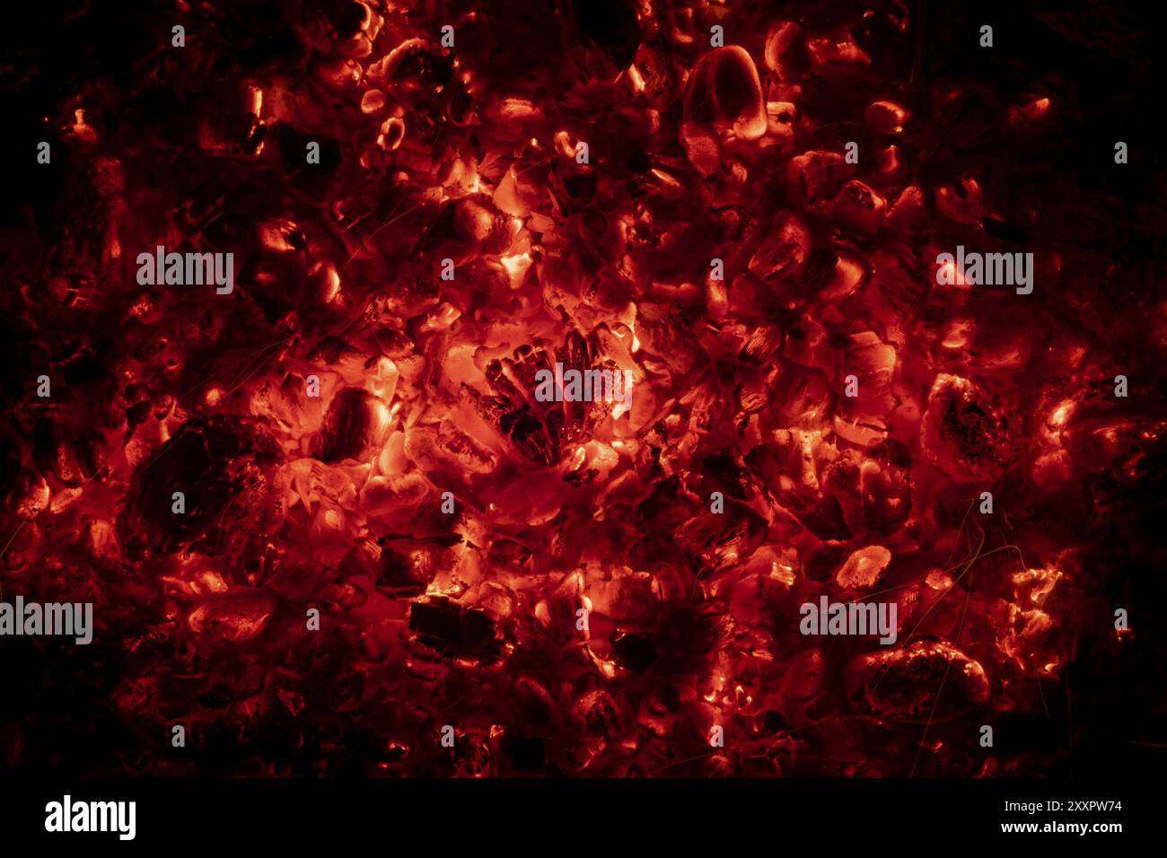 Red glowing charcoal in a campfire against a black background Stock ...