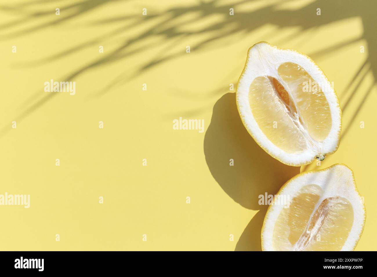 Two halved cuts of lemon with shadow from palm leaf on yellow ...