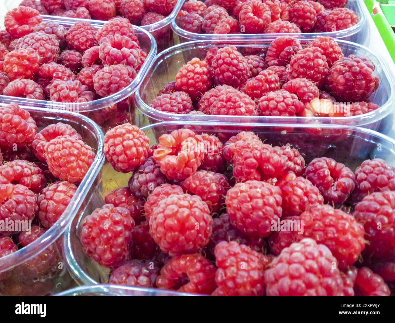 Closeup of raspberries in plastic containers at marketplace Stock Photo ...