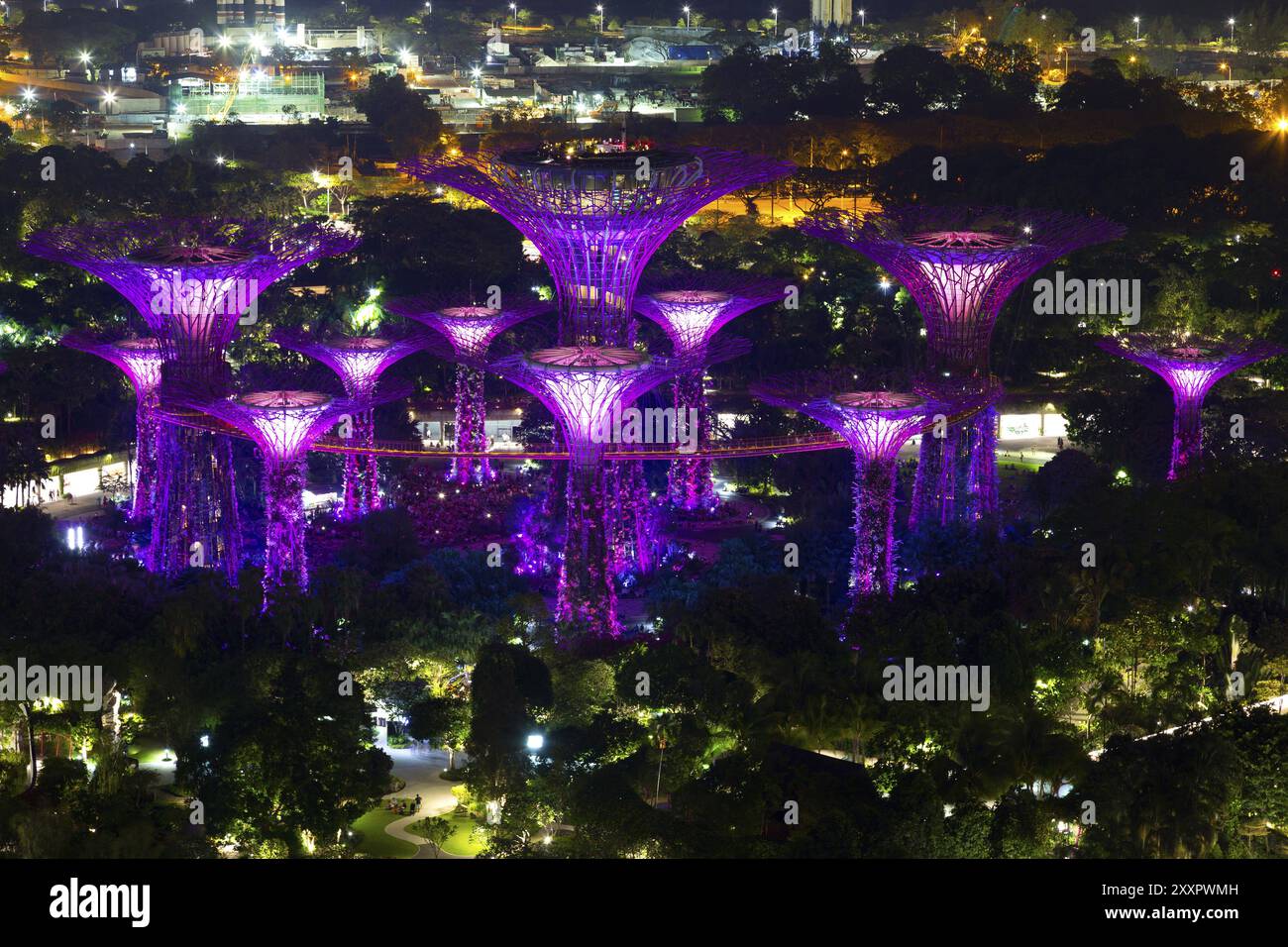 Garden By the Bay by night Stock Photo - Alamy