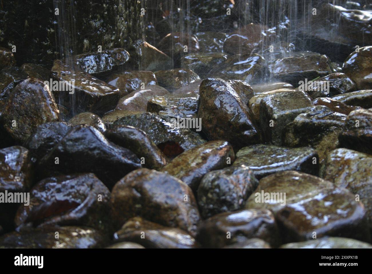 Rain wet stones hi-res stock photography and images - Alamy