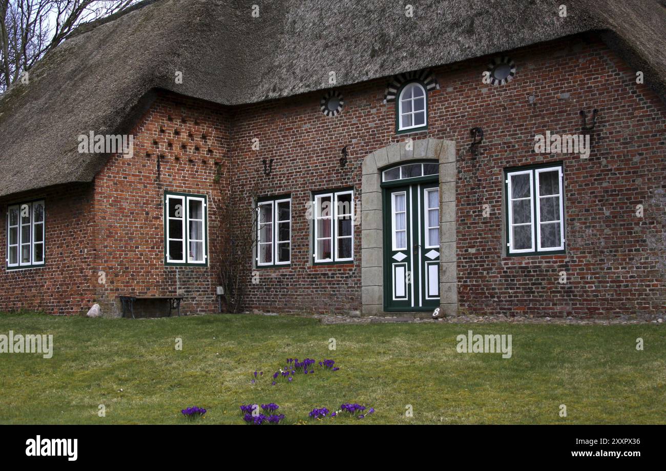 Frisian house in Keitum on Sylt Stock Photo - Alamy
