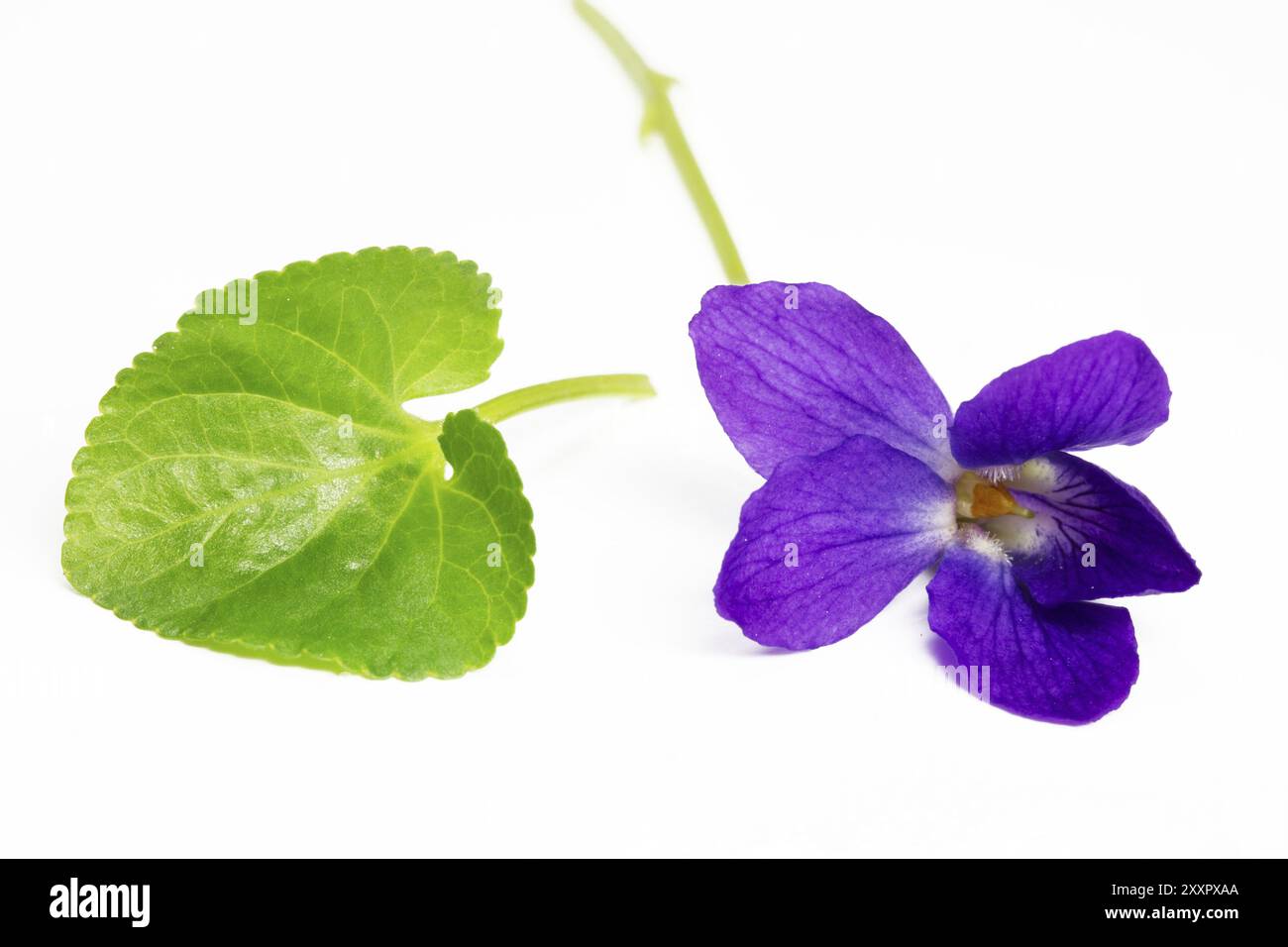 Close up empty sky Cut Out Stock Images & Pictures - Alamy