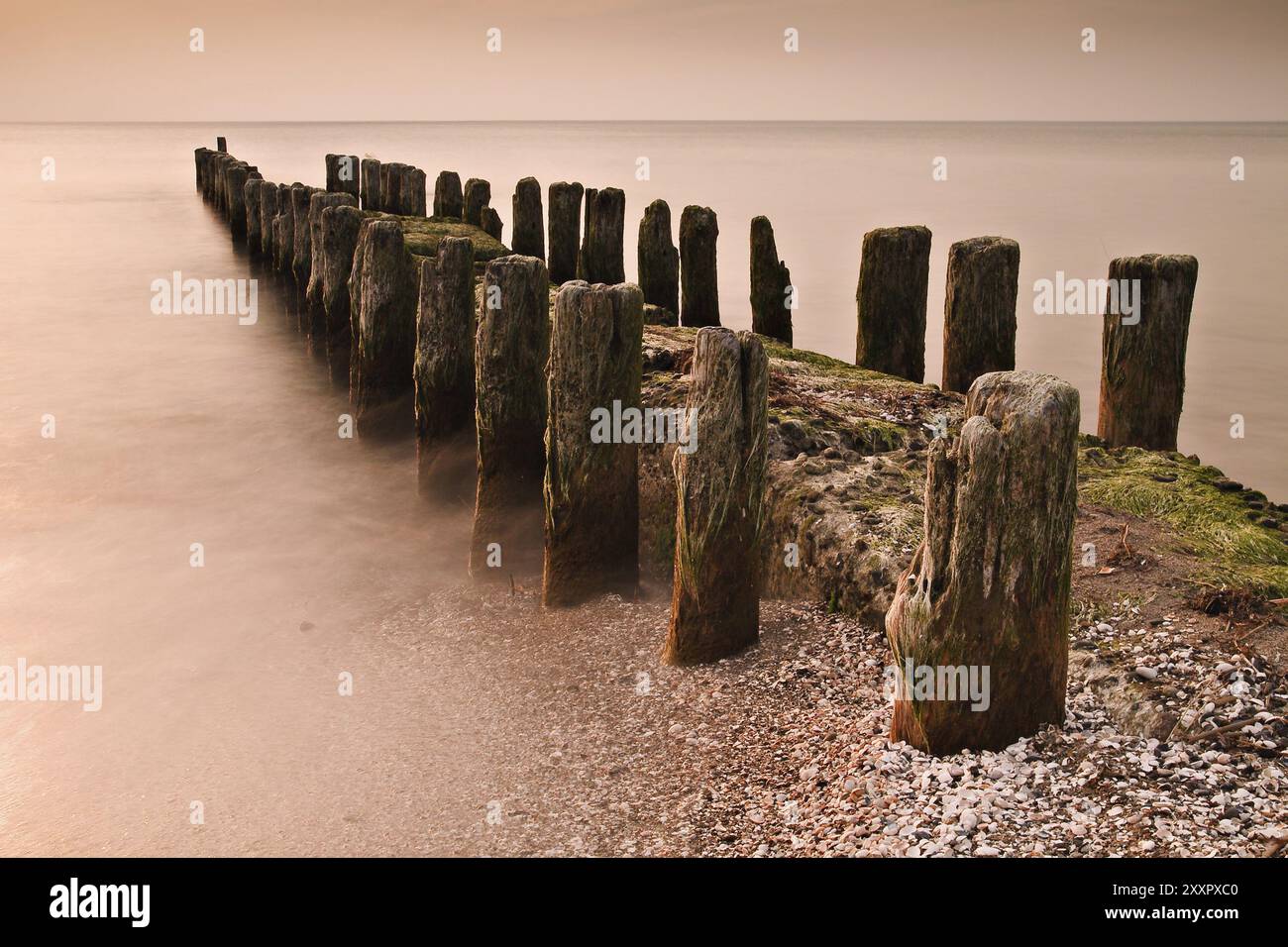 Groyne in the evening light on the west beach (Fischland-Darss Stock ...