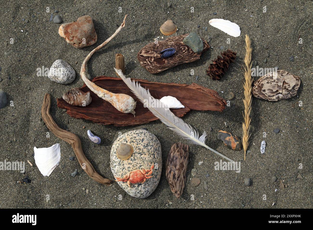 Still life on the beach Stock Photo - Alamy