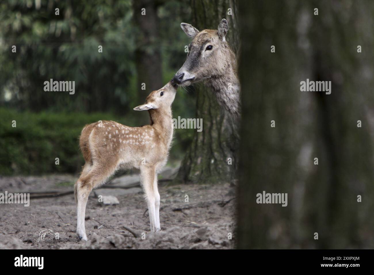 David bunch hi-res stock photography and images - Alamy