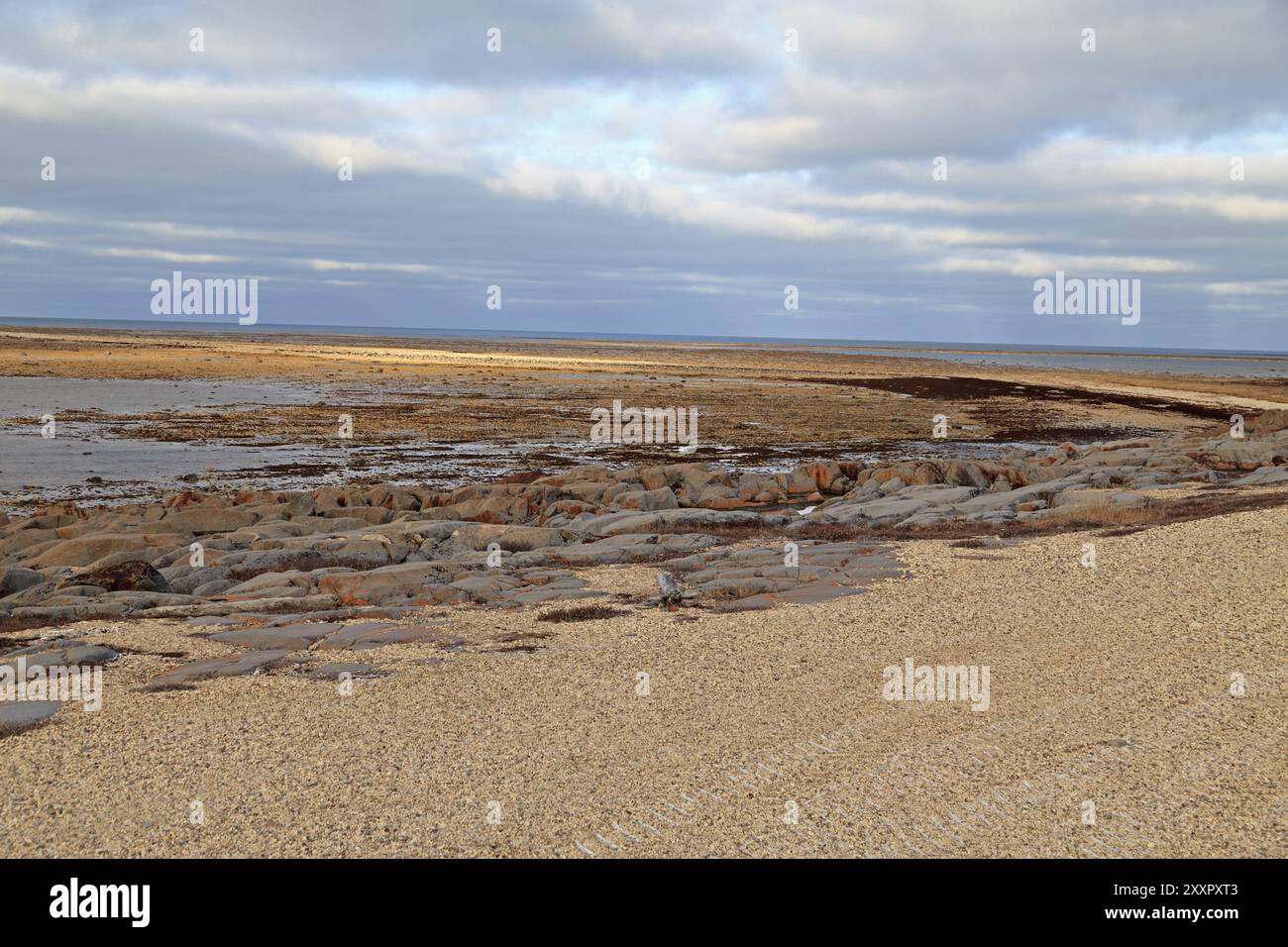 The coast of Hudson Bay near Churchill in Canada Stock Photo - Alamy
