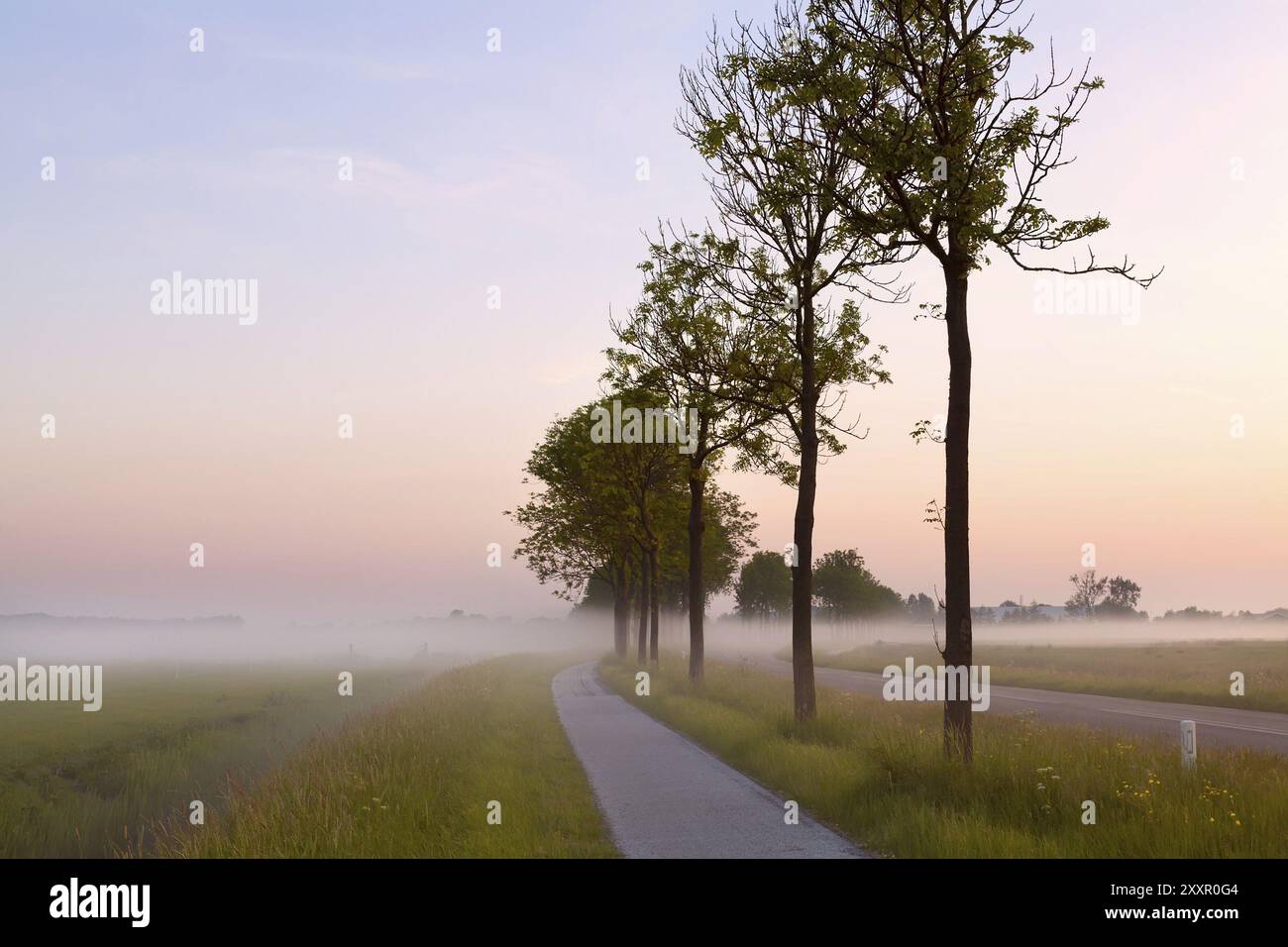 Cycle path sunrise in hi-res stock photography and images - Alamy