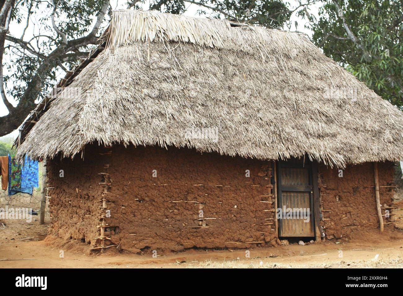 Hut in a Kenyan village Stock Photo - Alamy