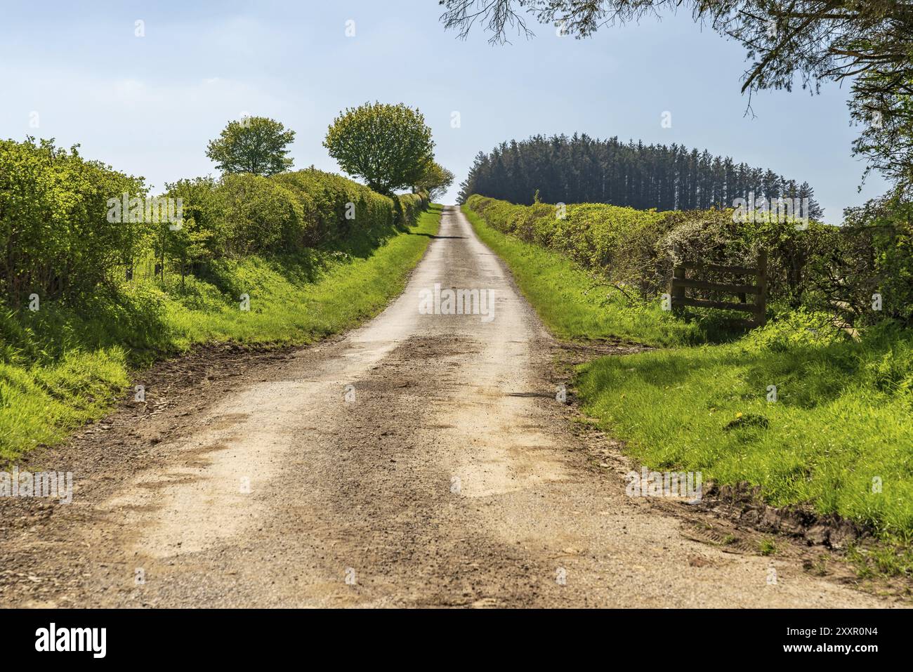 Empty road in northern england hi-res stock photography and images - Alamy