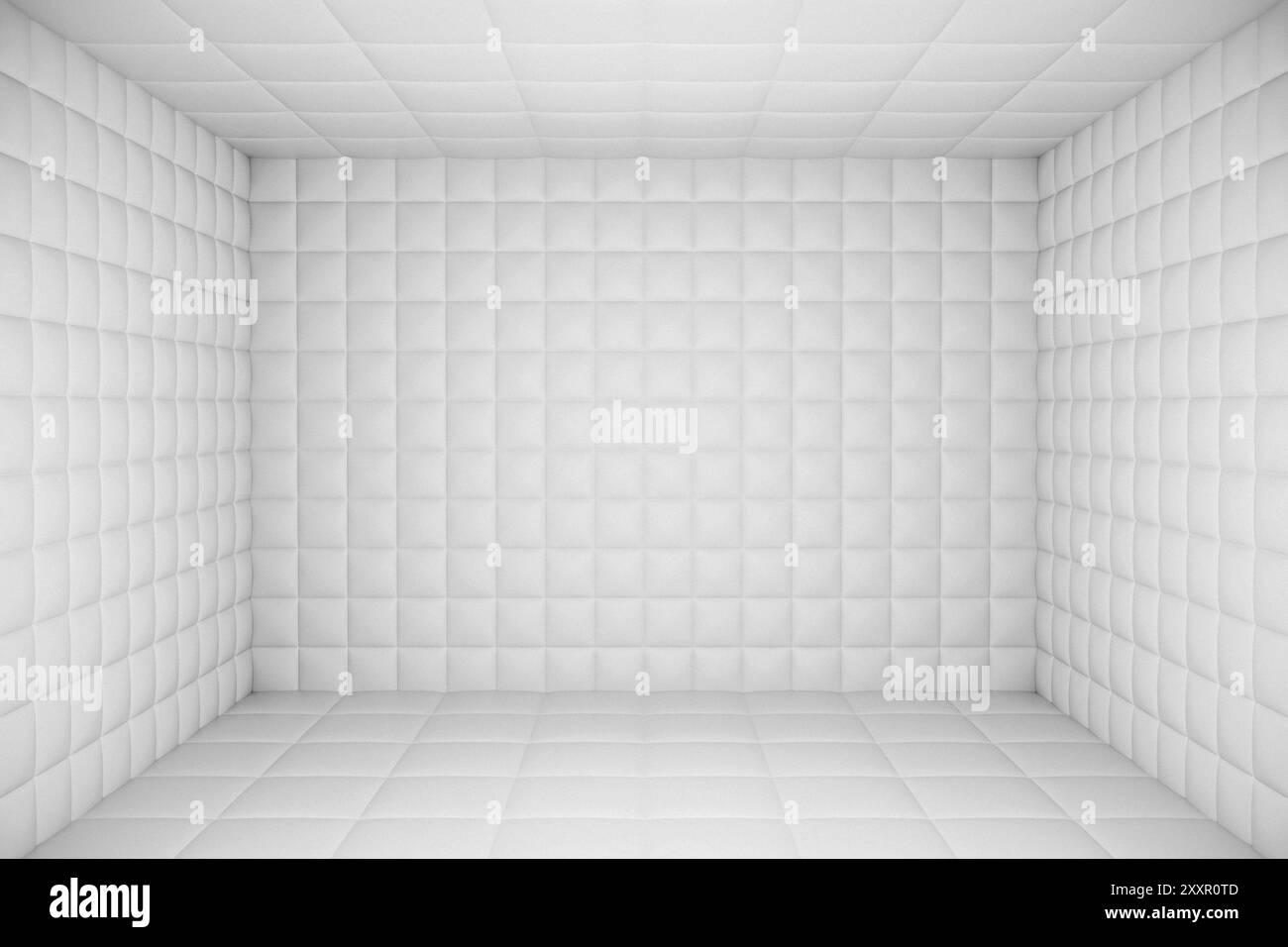 Empty Copy Space White Mental Hospital Padded Room on a white ...