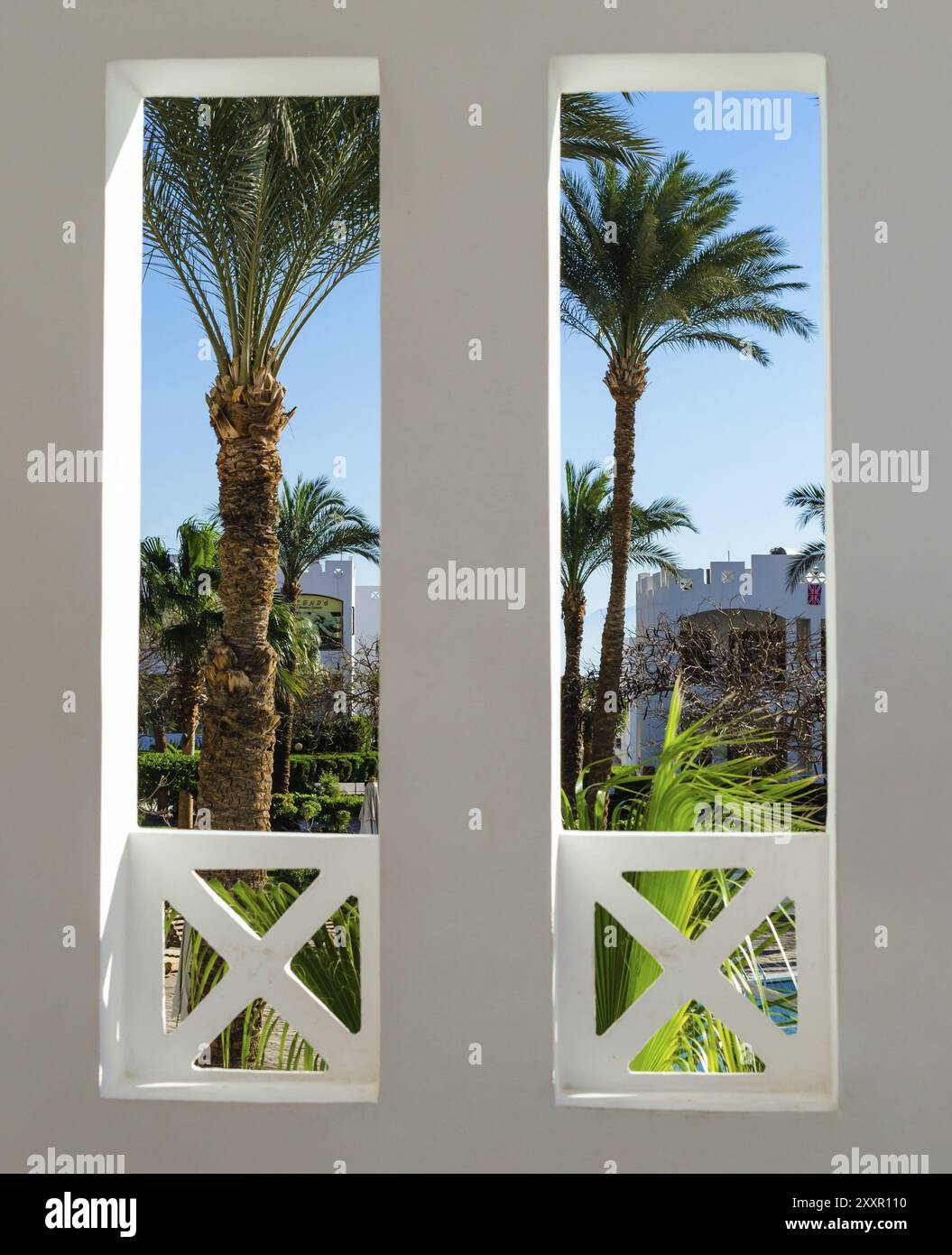 Window view of a tropical garden with tall palm trees Stock Photo - Alamy