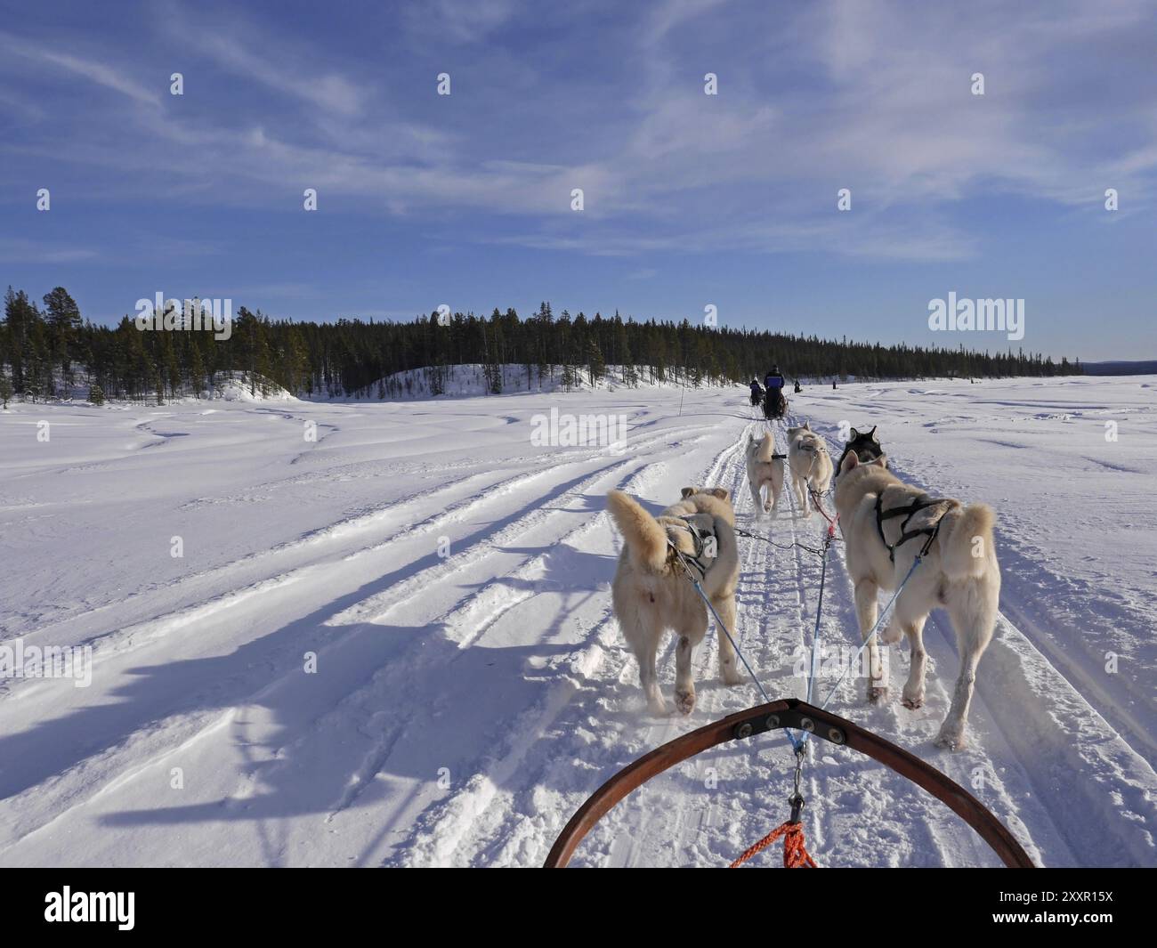 Dog sled ride Stock Photo - Alamy