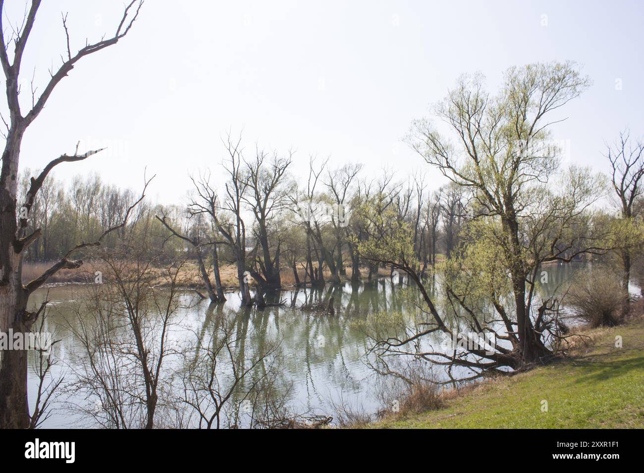 Danube Landscape, Danube Landscape Stock Photo - Alamy