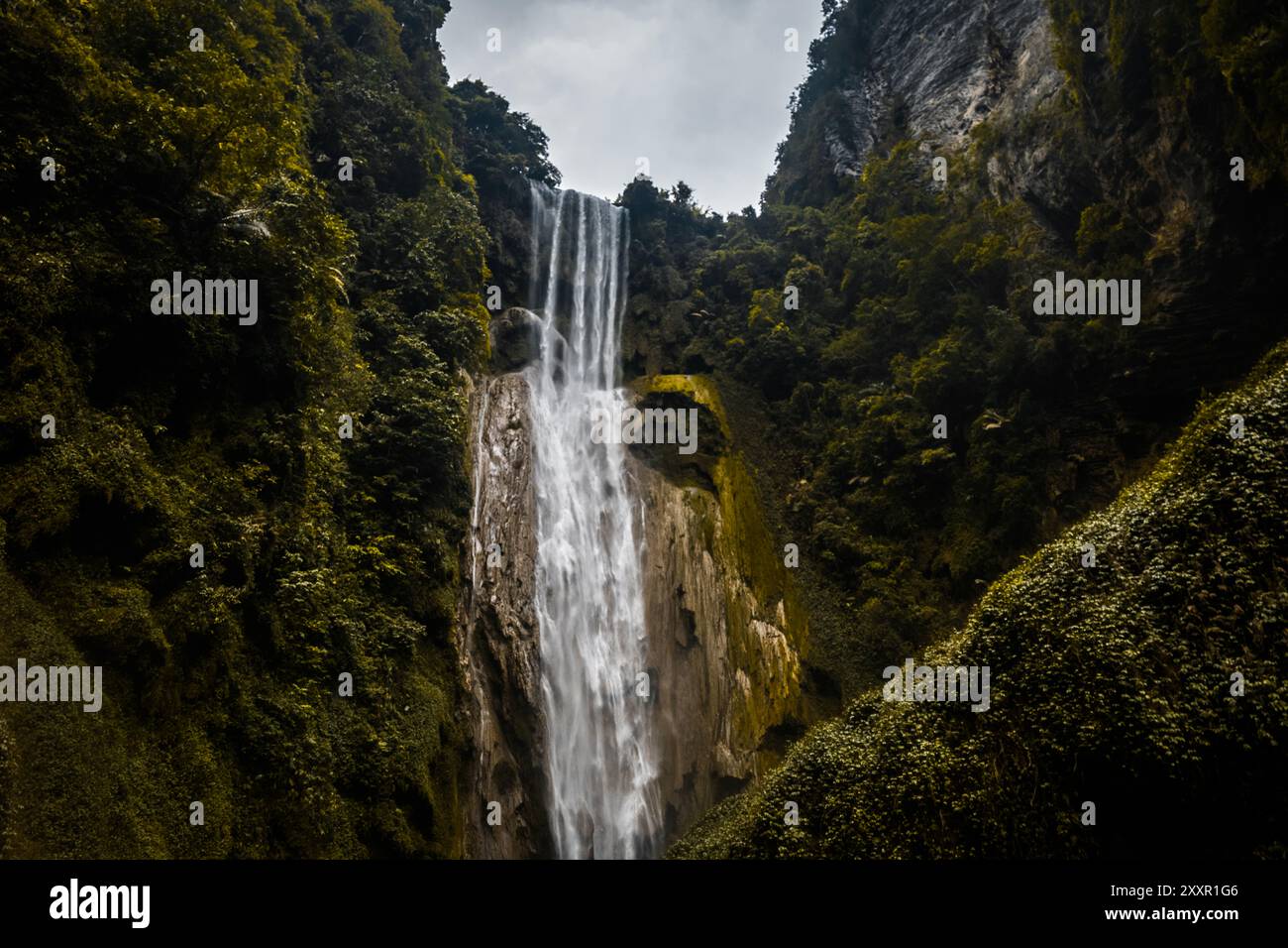 A tall waterfall plunges down a steep, lush cliff surrounded by dense ...