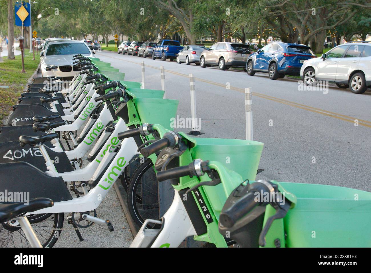Editorial Use Only, St. Petersburg, Florida, USA, August 24, 2024, Lime ...