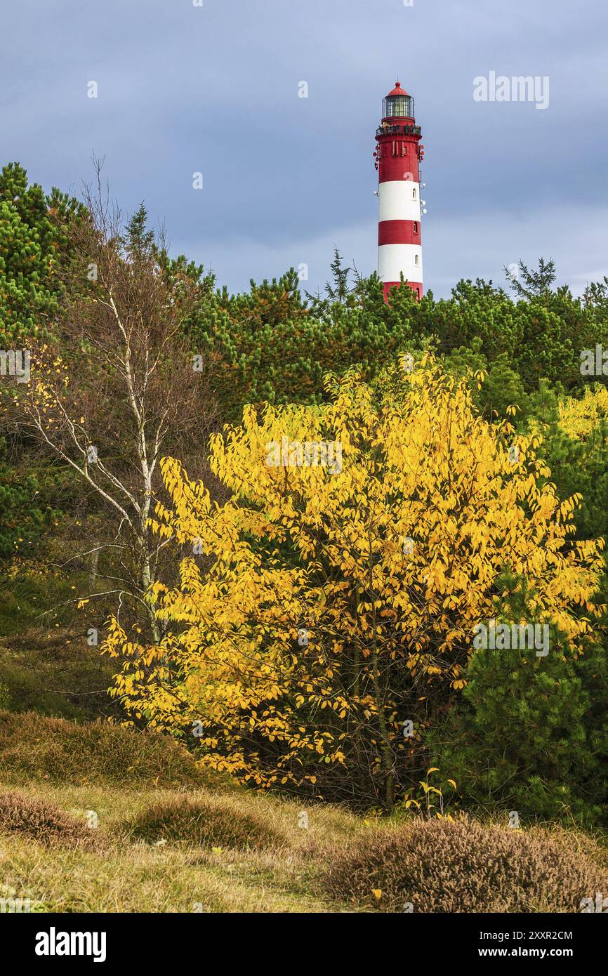 Lighthouse in Wittduen on the island of Amrum Stock Photo - Alamy
