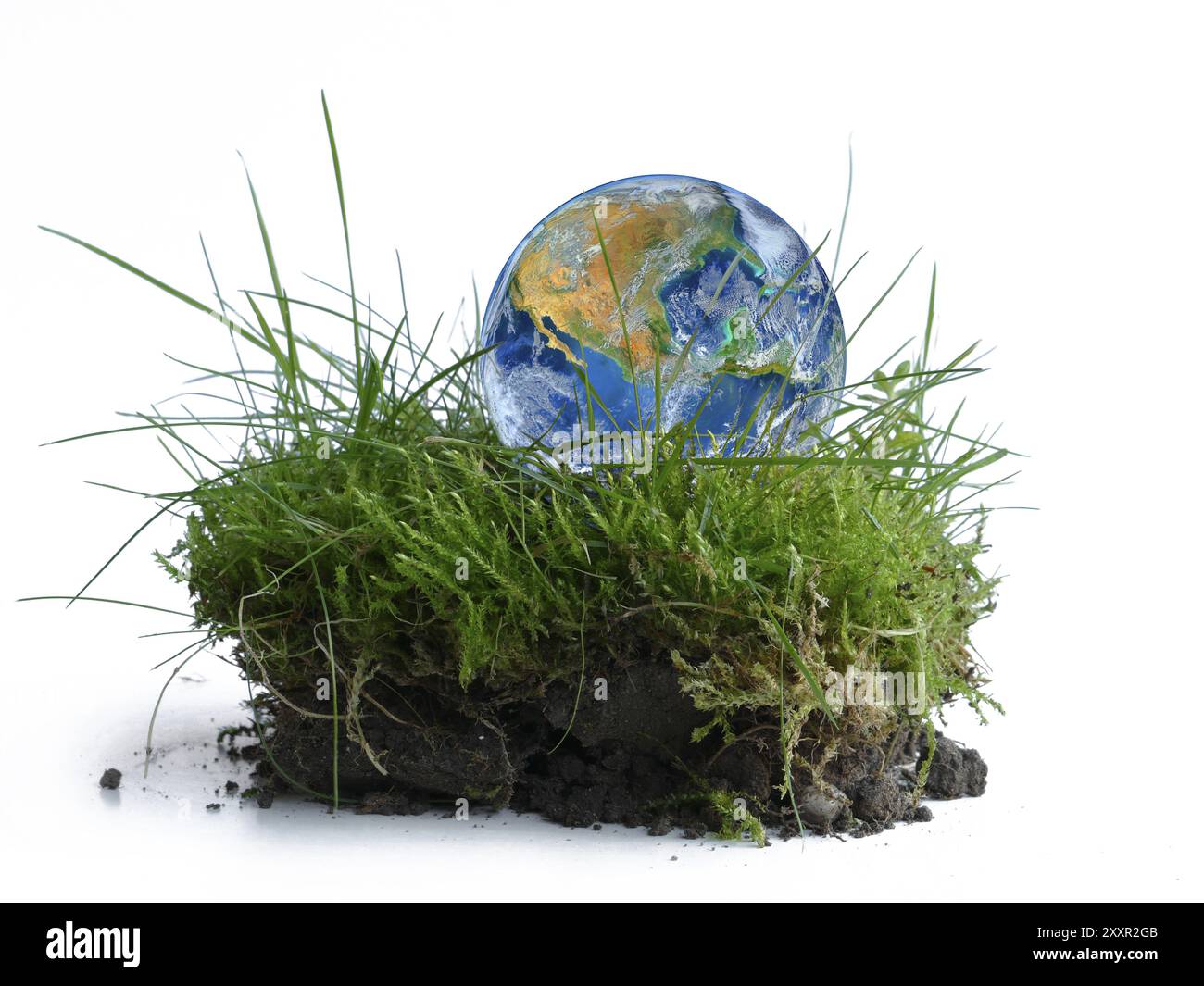 Earth globe in a piece of green grass, isolated on white background ...