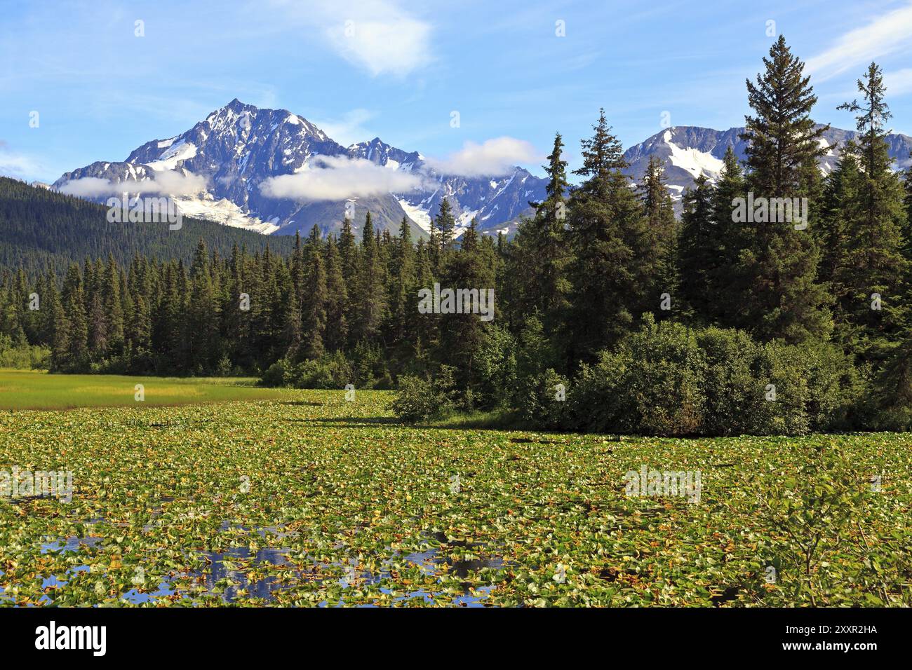 Lake with mountains on the Kenai Peninsula in Alaska Stock Photo - Alamy