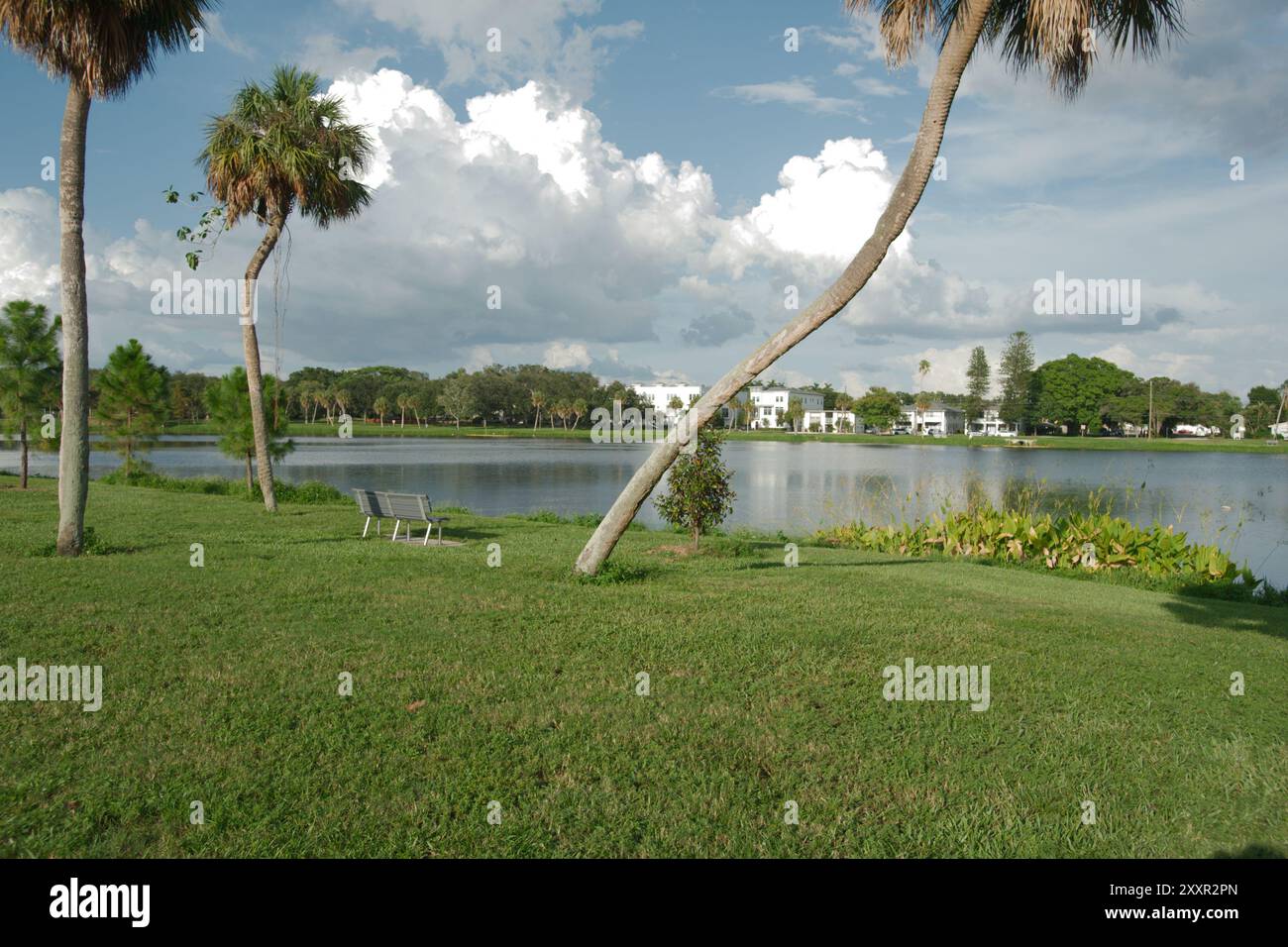 Green park grass trees hi-res stock photography and images - Alamy