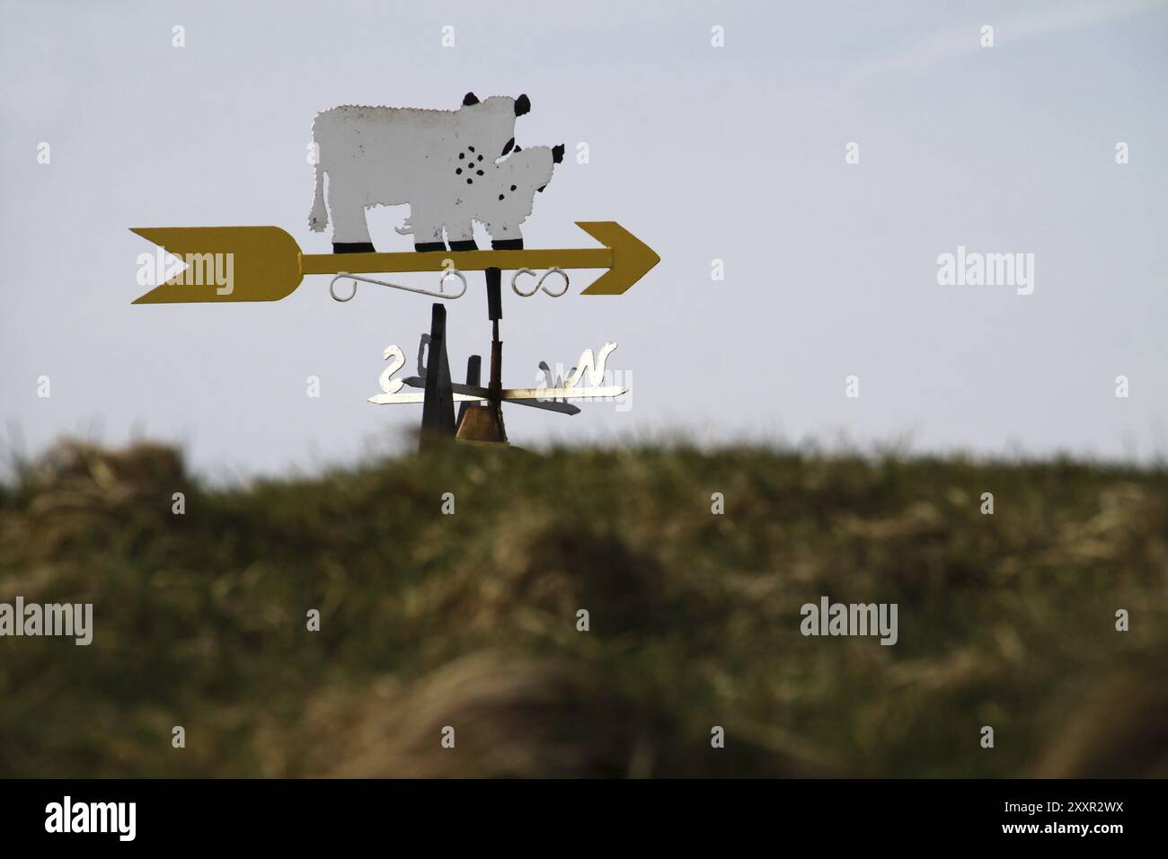 Cow-shaped weather vane Stock Photo - Alamy