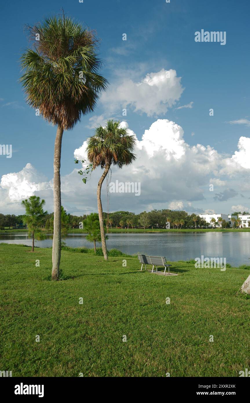 Foreground build hi-res stock photography and images - Alamy