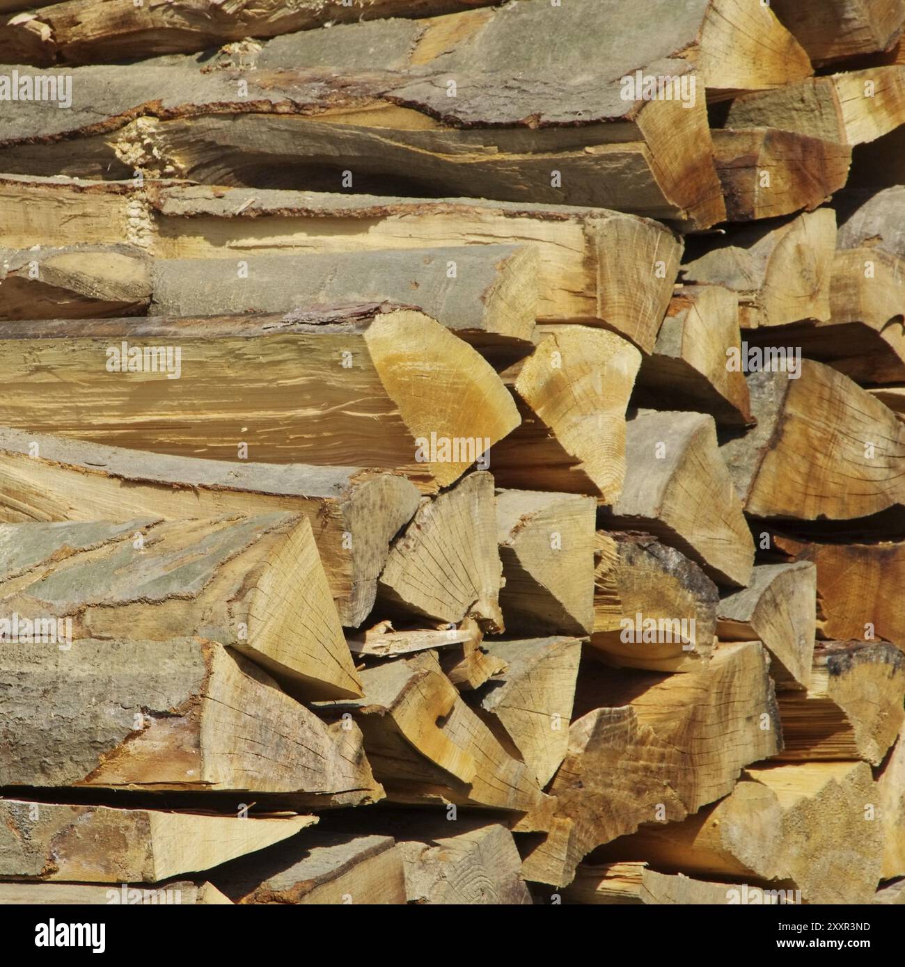 Pile of wood holzstapel hi-res stock photography and images - Alamy