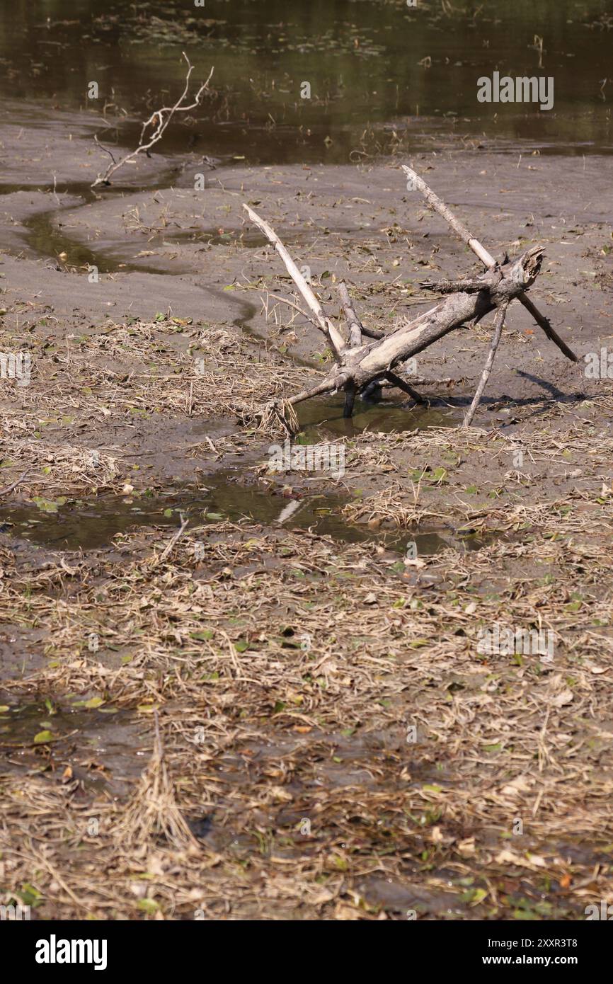 Dried water body hi-res stock photography and images - Alamy