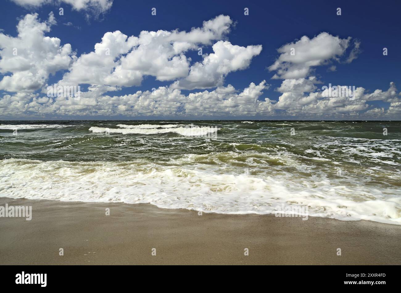 Beautiful storm Baltic sea in Sunny summer's day Stock Photo - Alamy