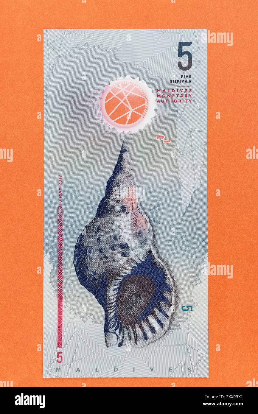 Maldives 5 rufiyaa gray-red color vertical banknote with conch shell ...