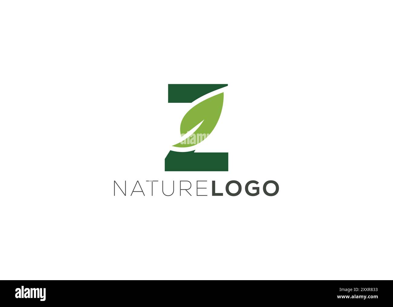 Letter Z Green abstract leaf logo design template Stock Vector Image ...