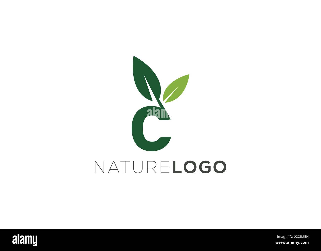 Letter C Green abstract leaf logo design template Stock Vector Image ...