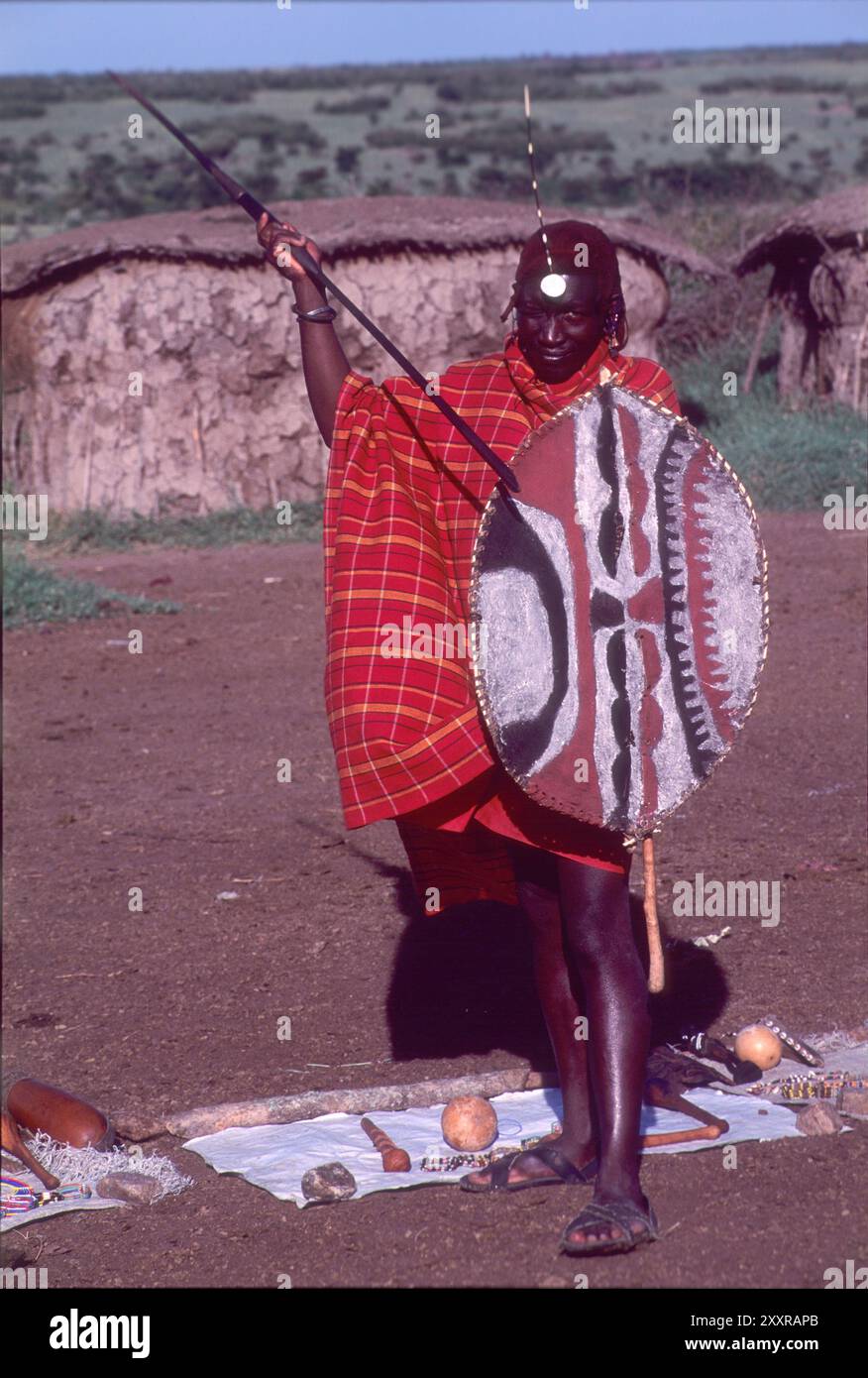 Masai warrior in full regalia with traditional shield and spear, Masai ...