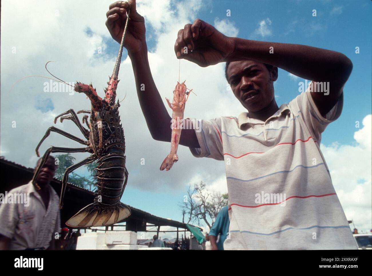 Giant lobster and shrimp at the fish market in Dar El Salam, Tanzania ...