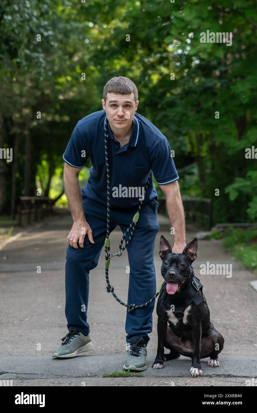 Pitbull aggressive jump hi-res stock photography and images - Alamy