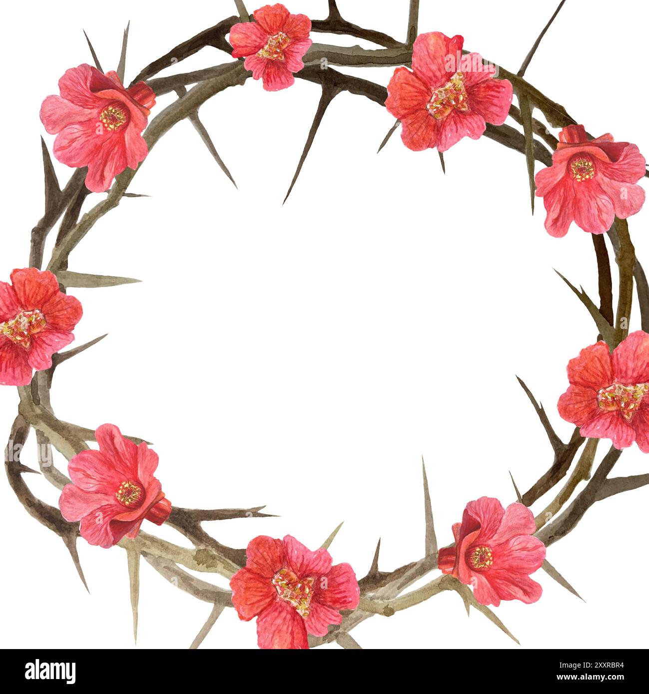 Crown of thorns with red flowers watercolor illustration isolated on ...