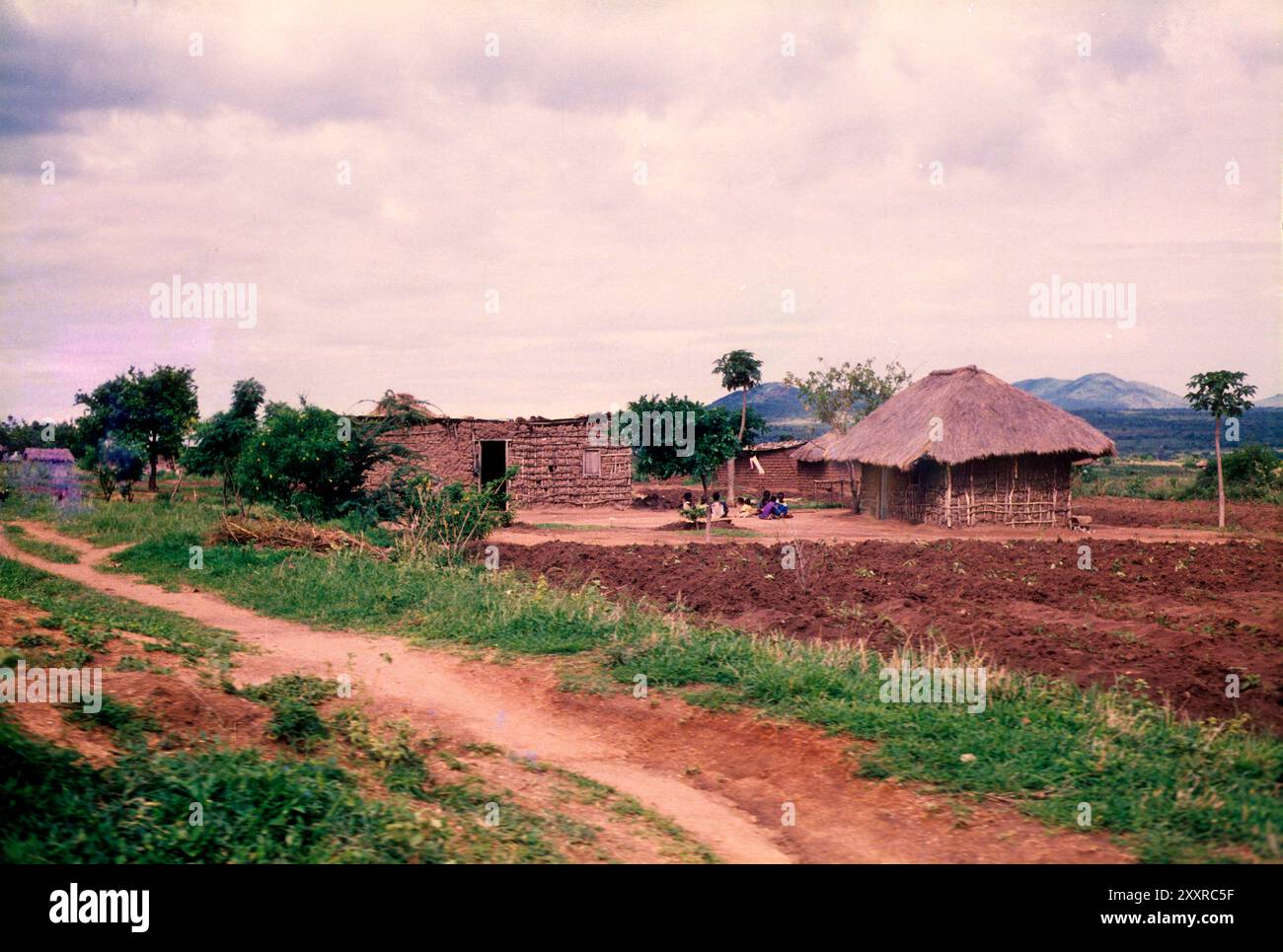 Typical huts in the interior of Tanzania Stock Photo - Alamy