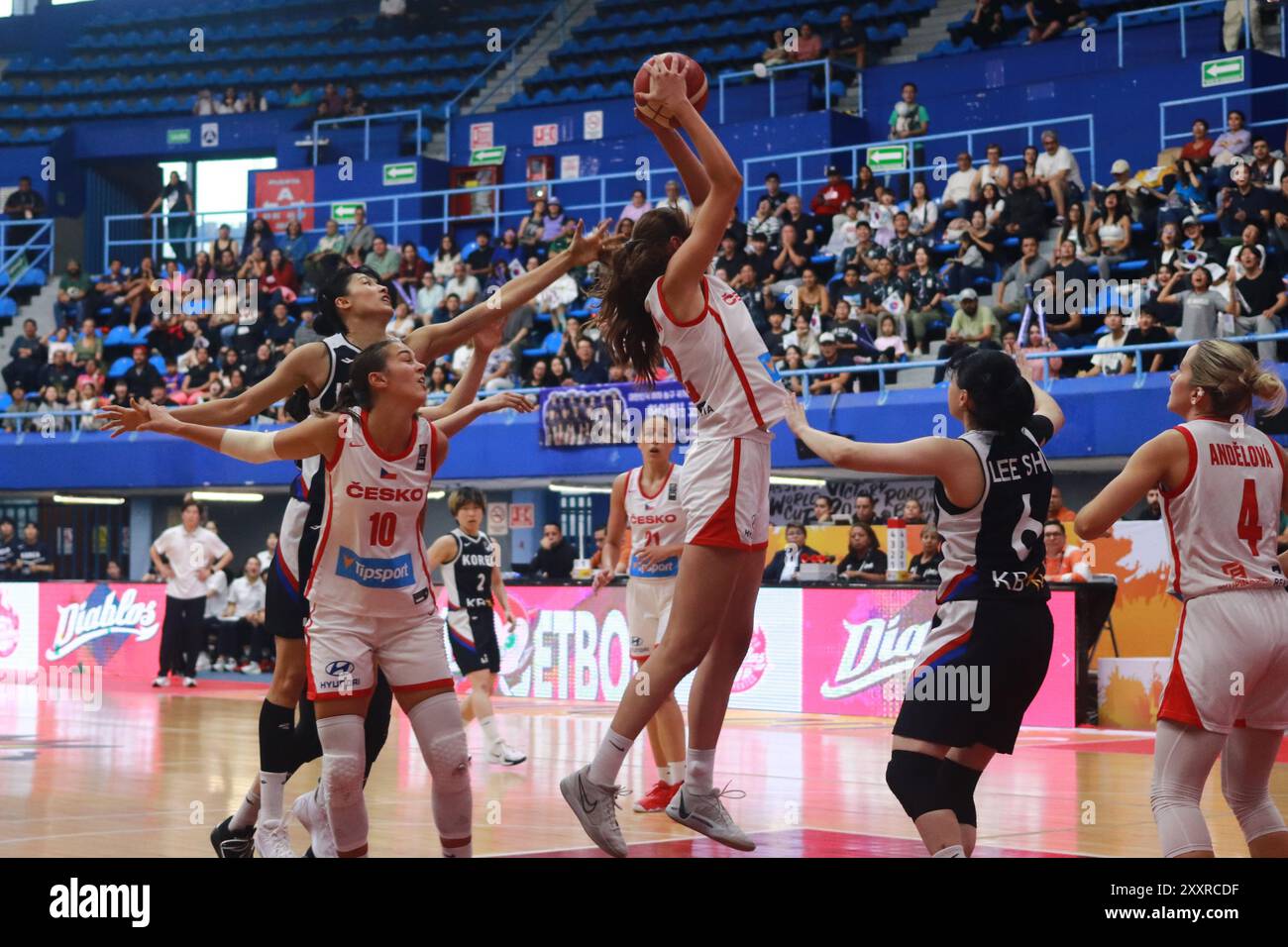 Emma cechova hi-res stock photography and images - Alamy