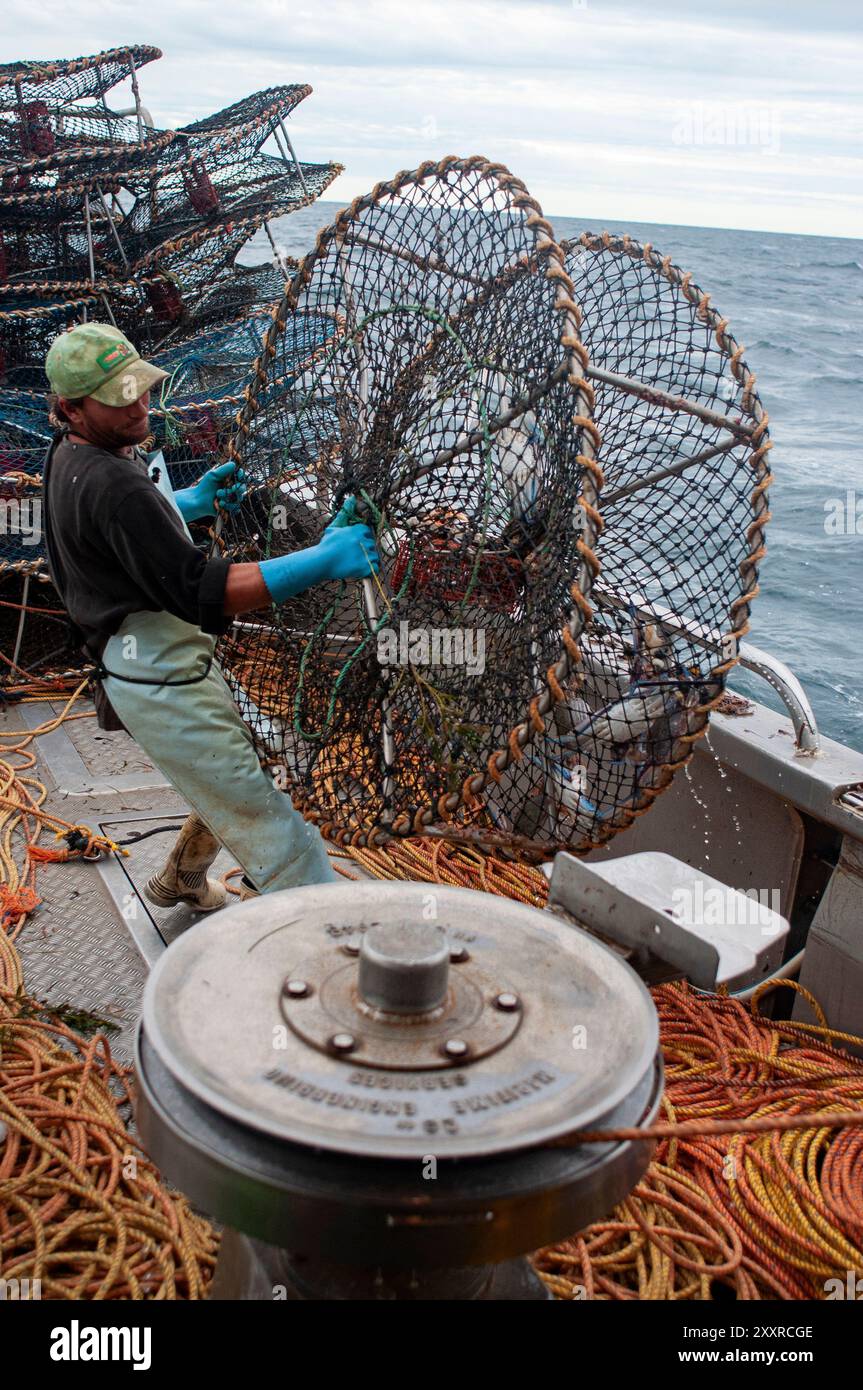 Commercial crab fishing for blue swimmer crabs in Shark Bay in Western ...