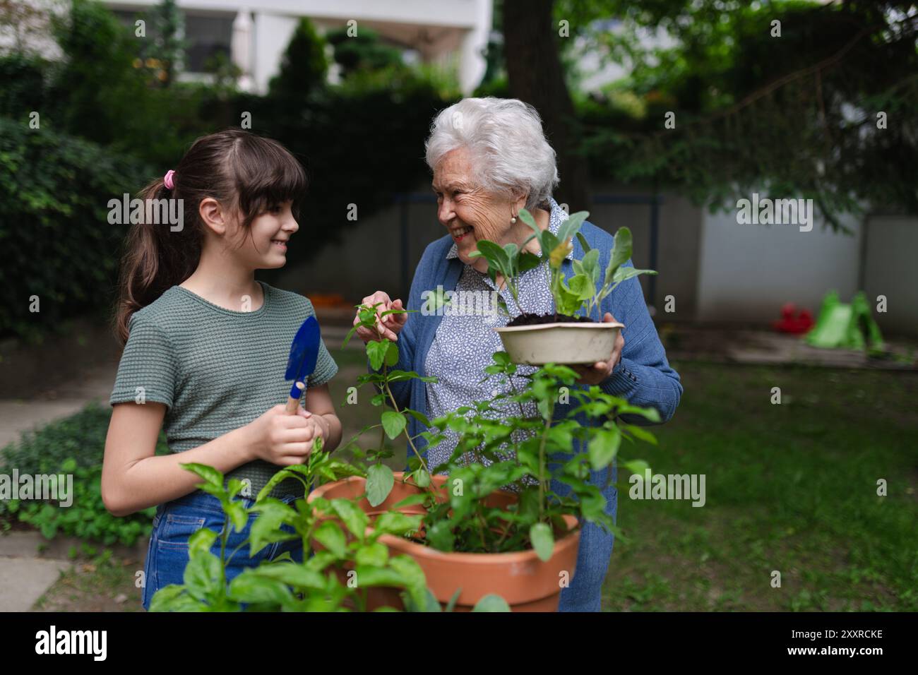Grandmother teaching granddaughter to work in garden. Girl helping ...