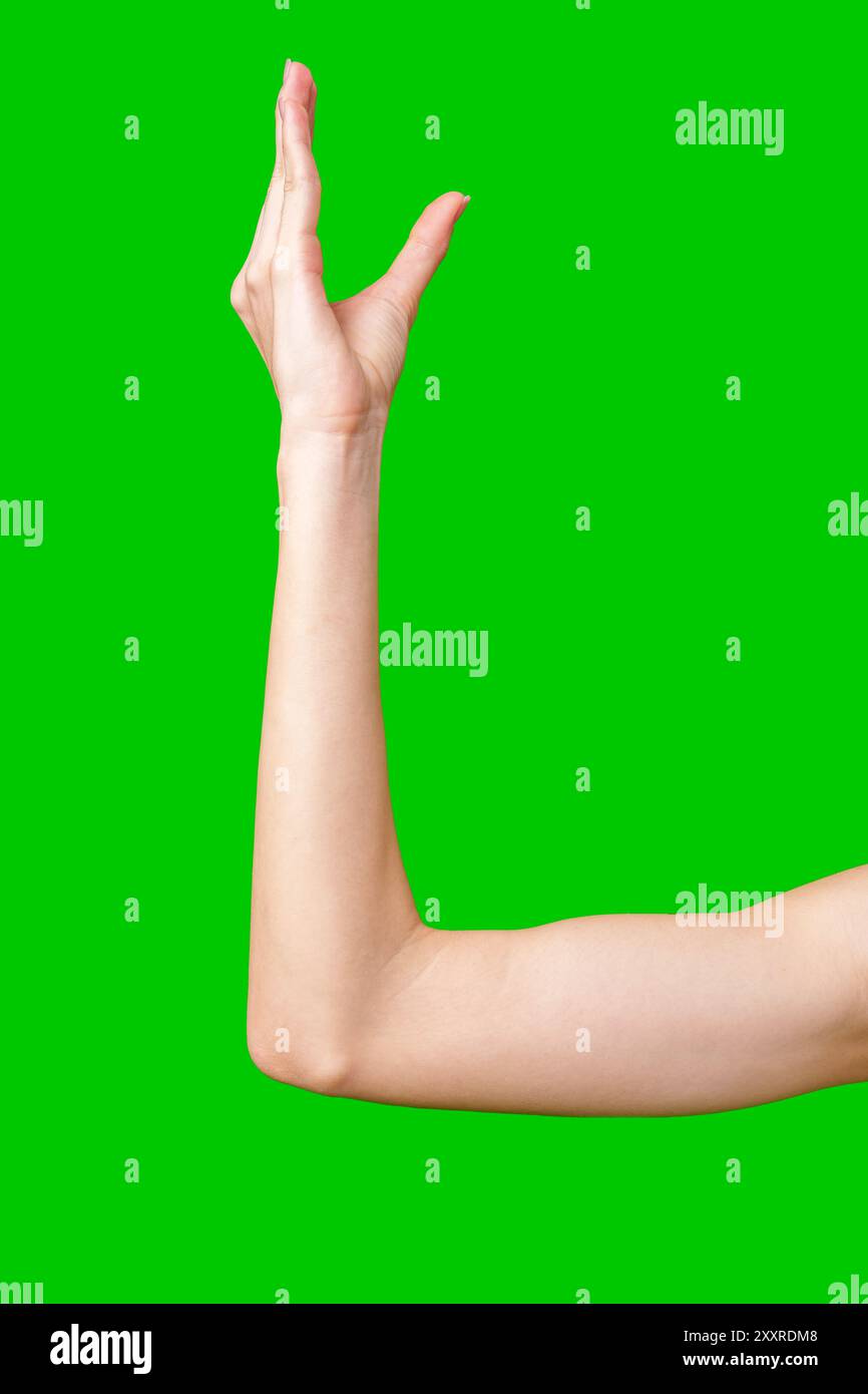 Woman's Hand Reaching Upwards Against Green Screen Background Stock ...