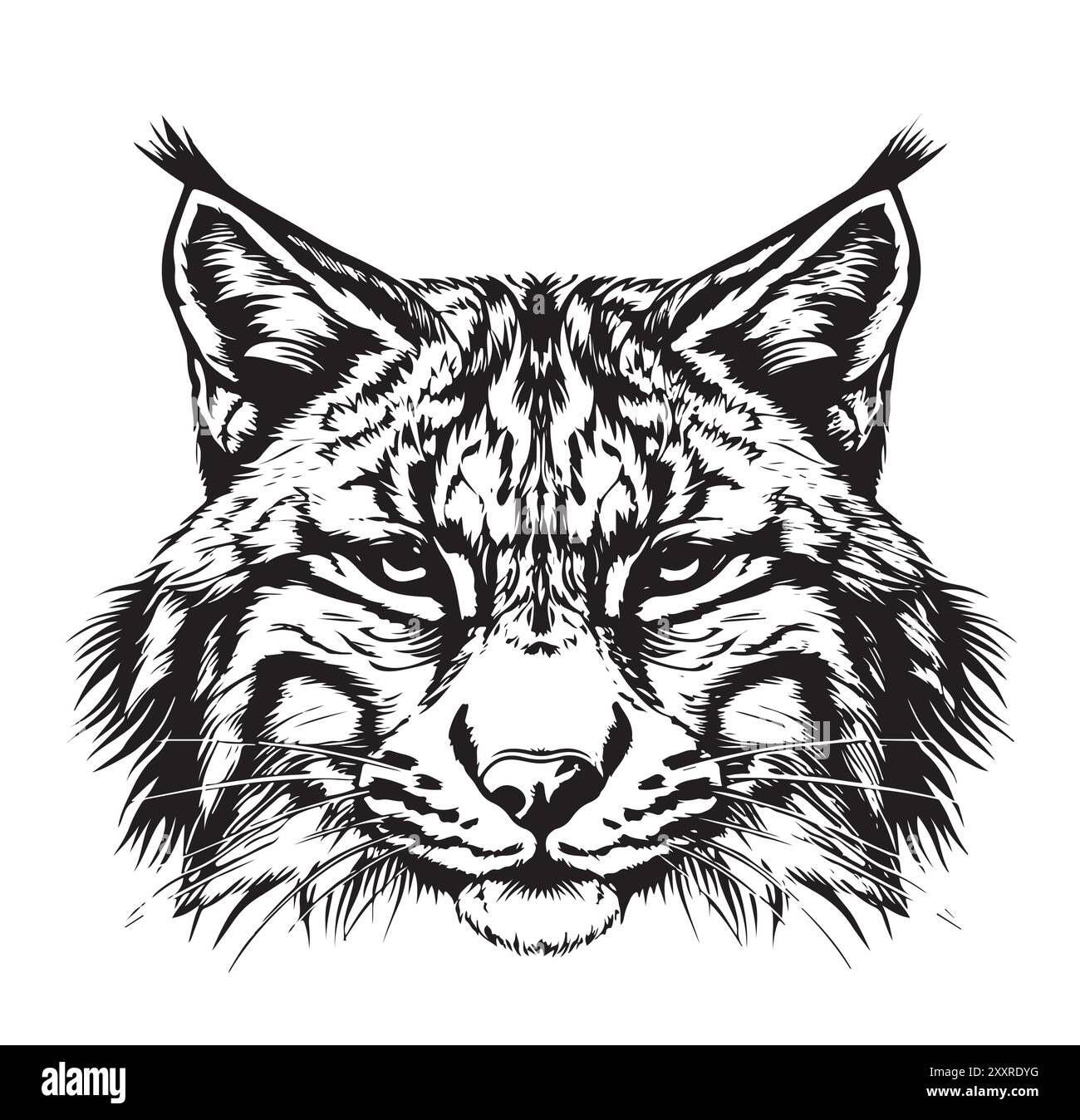 Vector image, the head of a lynx looks forward, on a white background ...