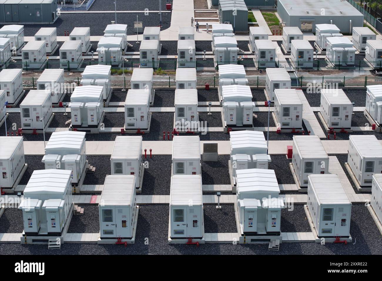 Nanjing, China. 26th Aug, 2024. NANJING, CHINA - AUGUST 26, 2024 ...